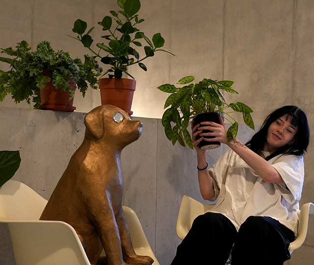 Agentur - erdmannpeisker